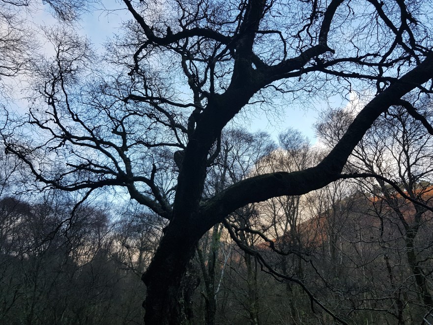 Autumn lessons – Mindfulbalance