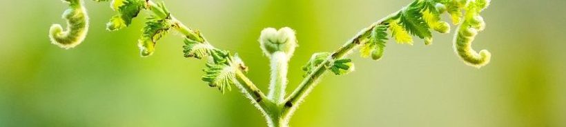 Sunday Quote: Containing the energy – Mindfulbalance